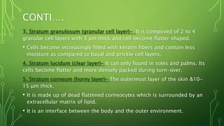 Transdermal drug delivery system- structure of skin | PPTX