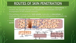 Transdermal drug delivery system- structure of skin | PPTX