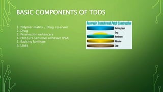 Transdermal drug delivery system- structure of skin | PPTX