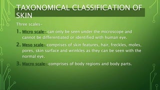 Transdermal drug delivery system- structure of skin | PPTX