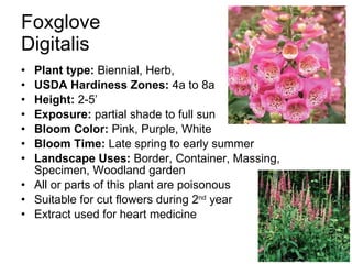 3 23 Hydroponics | PPT