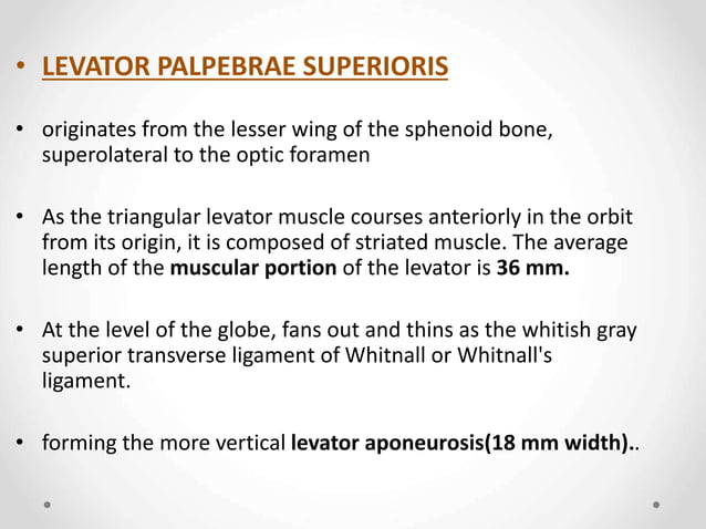 Anatomy of Eyelid, Introduction to Orbit | PPT