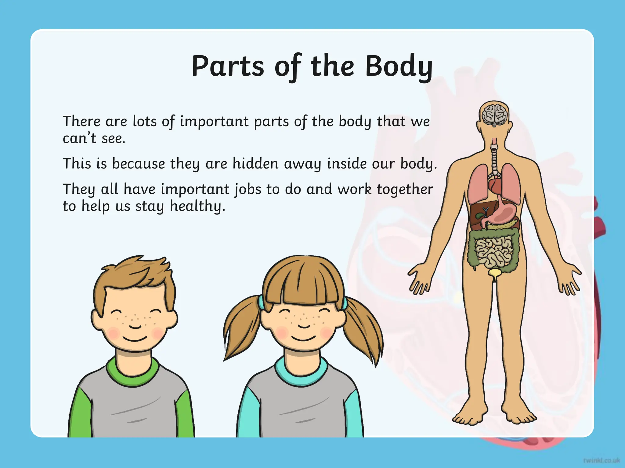 3.-human-body-information-powerpoint.pdf