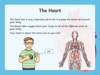 3.-human-body-information-powerpoint.pdf