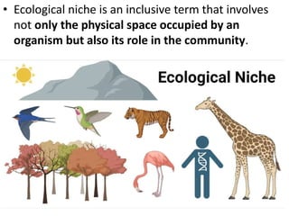 3. Agro-Ecological zoning and niches form the horticultural perspective ...