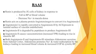 3.Anti-Hypertensive drugs.pdf