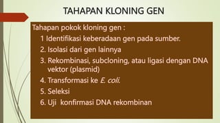 3. Rekombinasi DNA.pptx