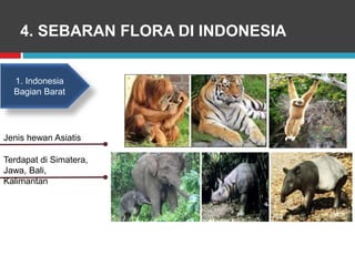 3.2 PPT FLORA DAN FAUNA.pptx