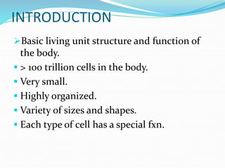 3.0 Cell Structure and function (2).pptx