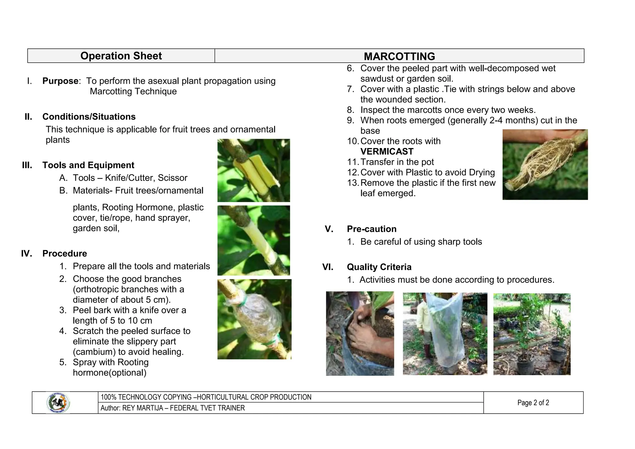 3. MARCOTTING - Copy.docx