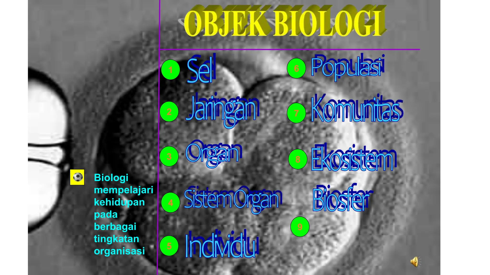 3.1 BIOLOGI.pptx