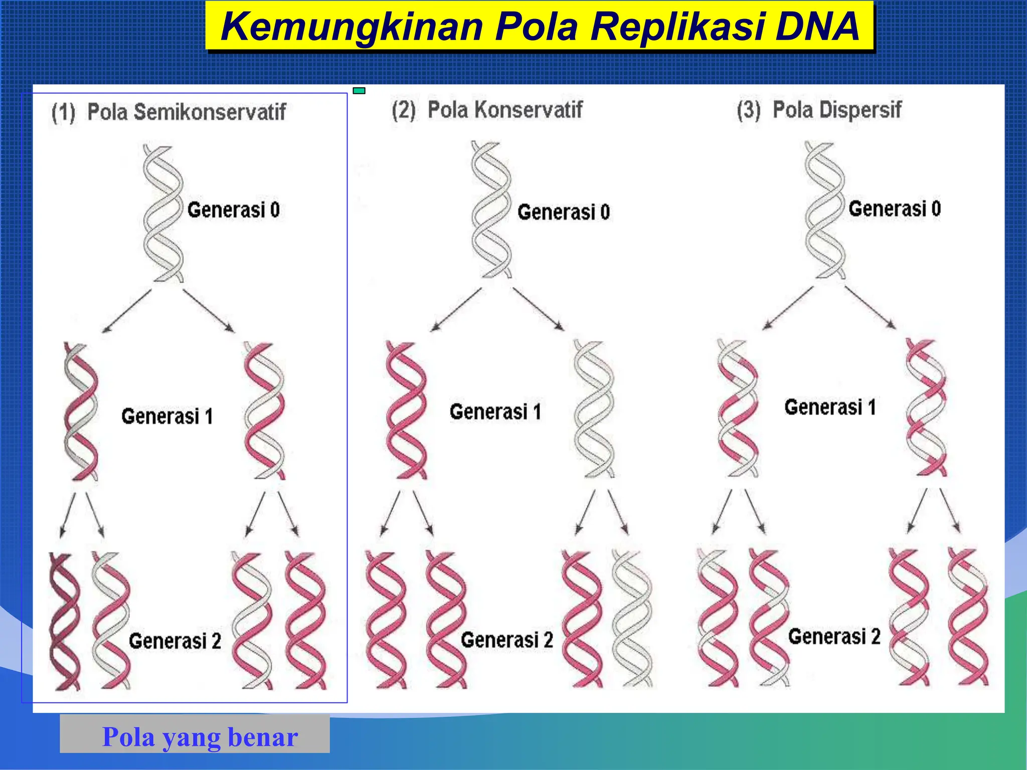 Materi genetik dan sintesis protein biology | PPT