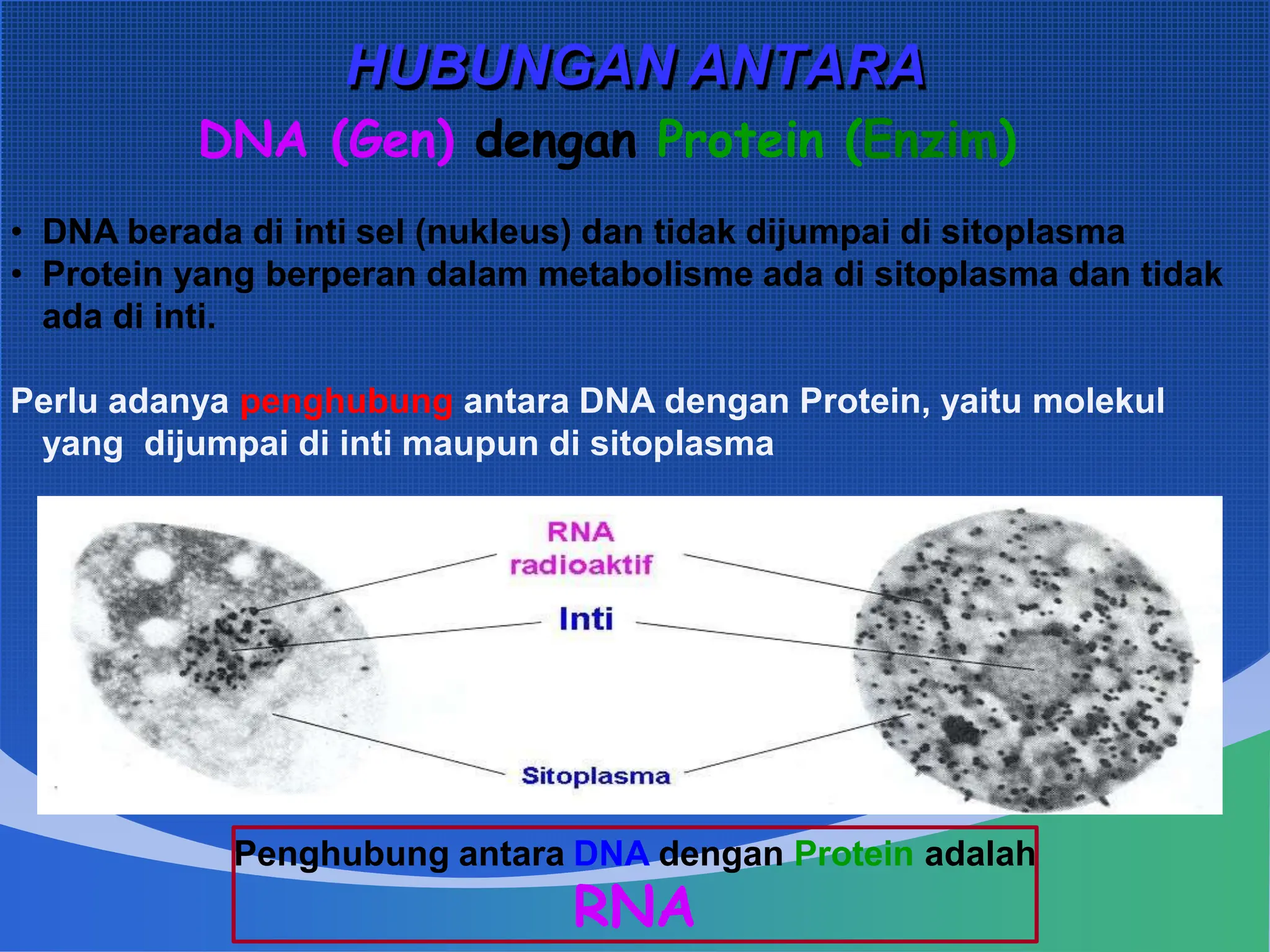 Materi genetik dan sintesis protein biology | PPT