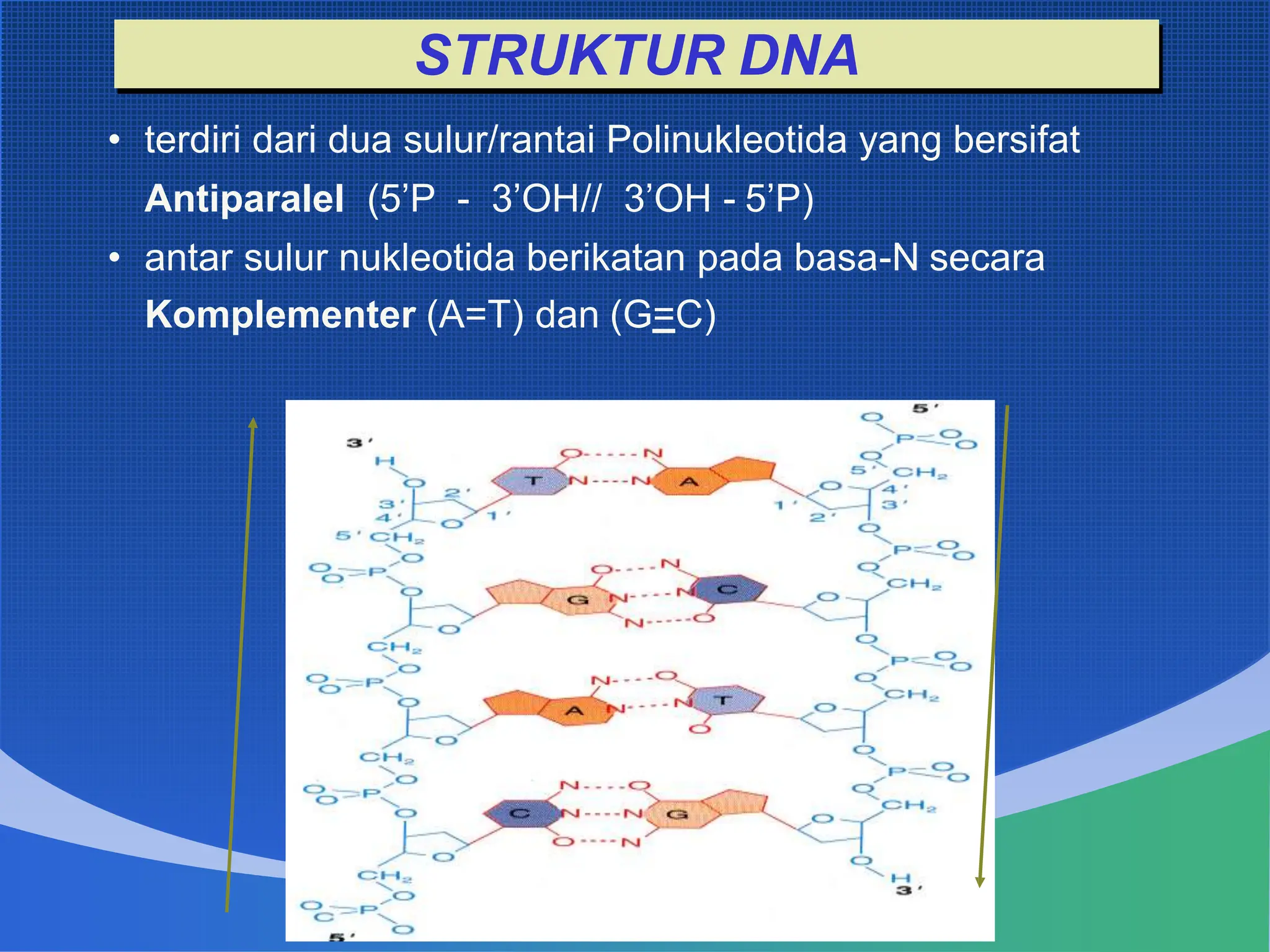 Materi genetik dan sintesis protein biology | PPT