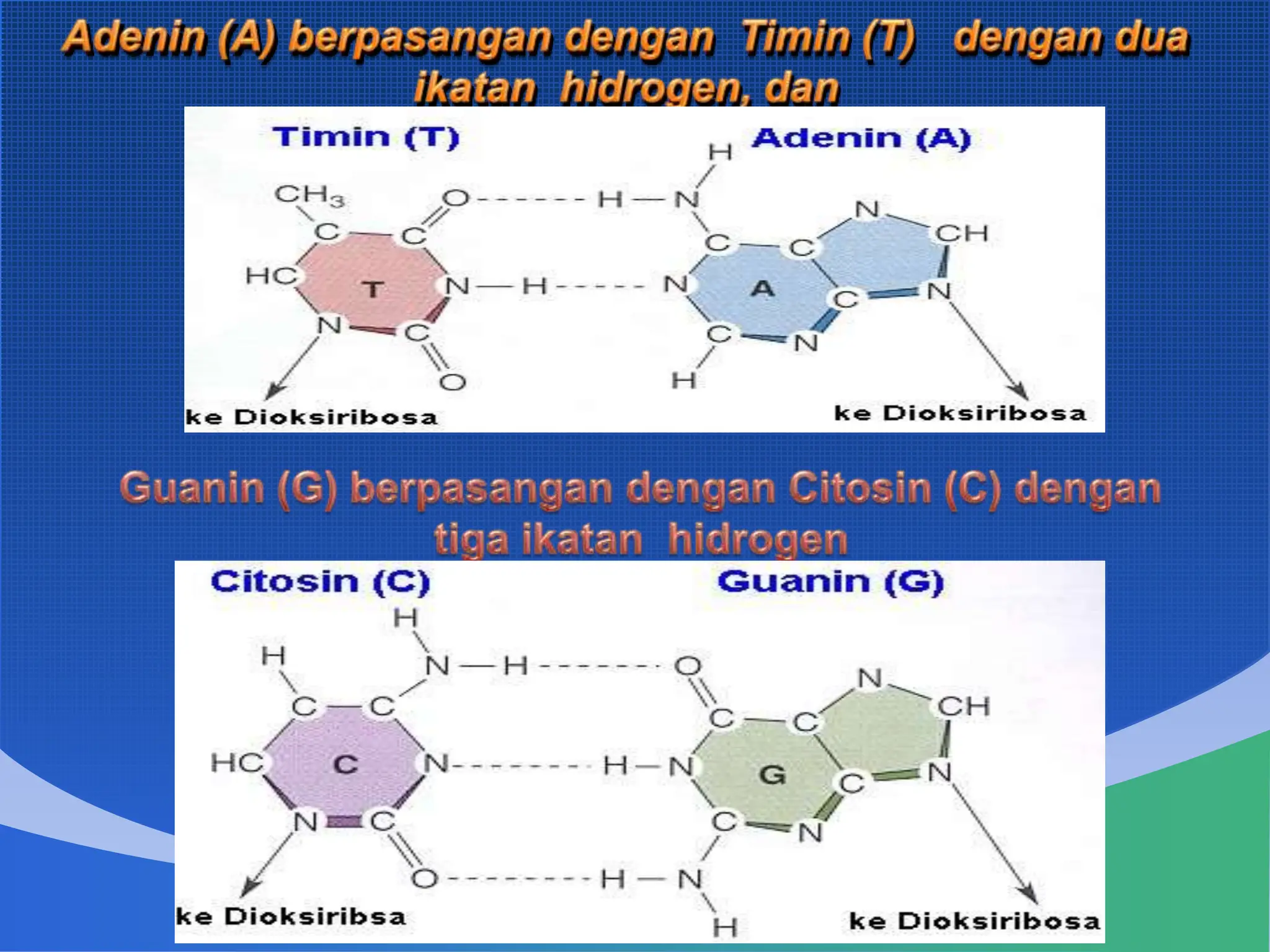 Materi genetik dan sintesis protein biology | PPT