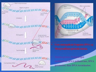 Materi genetik dan sintesis protein biology | PPT