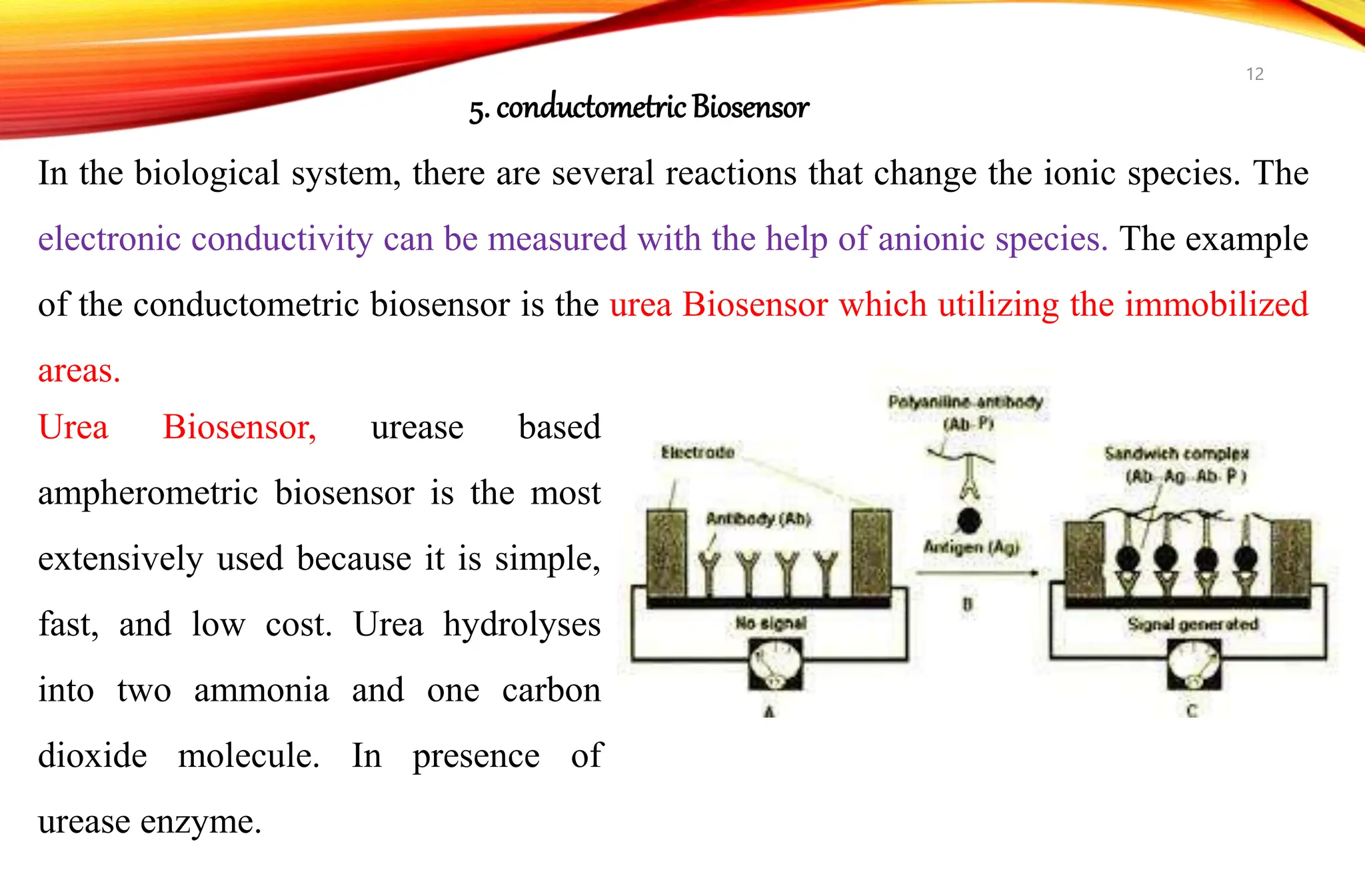 3. Introduction about the Biosensors.pptx
