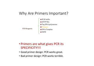 PCR cycle | PPT | Free Download