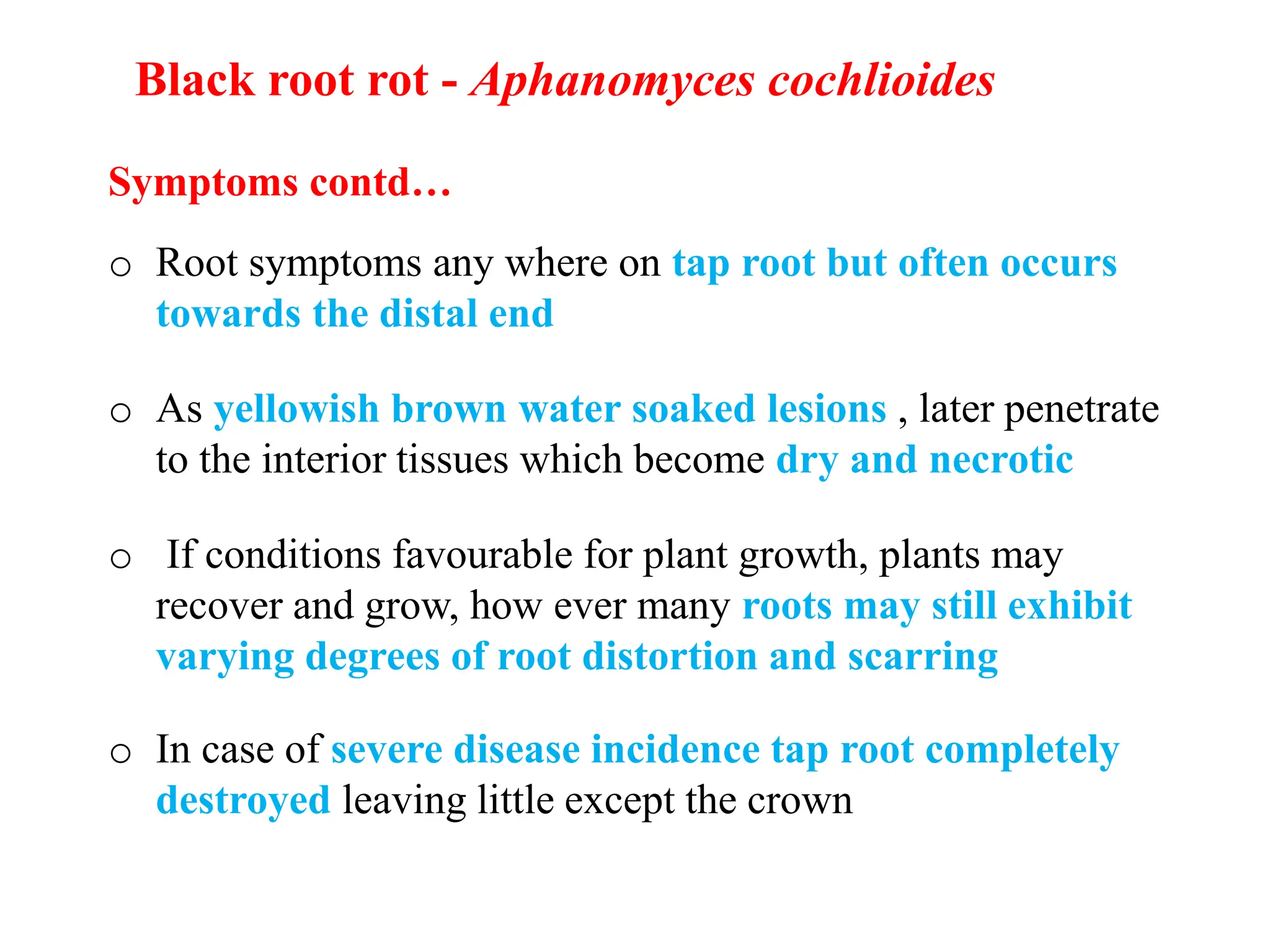Beet root. Diseases management ,production pdf. | PPTX