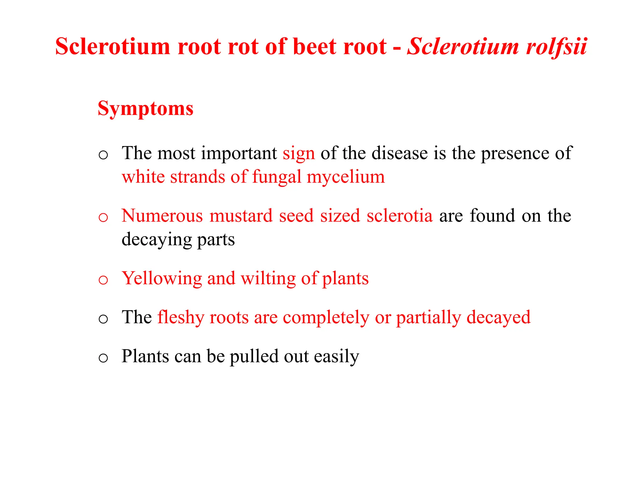 Beet root. Diseases management ,production pdf. | PPTX