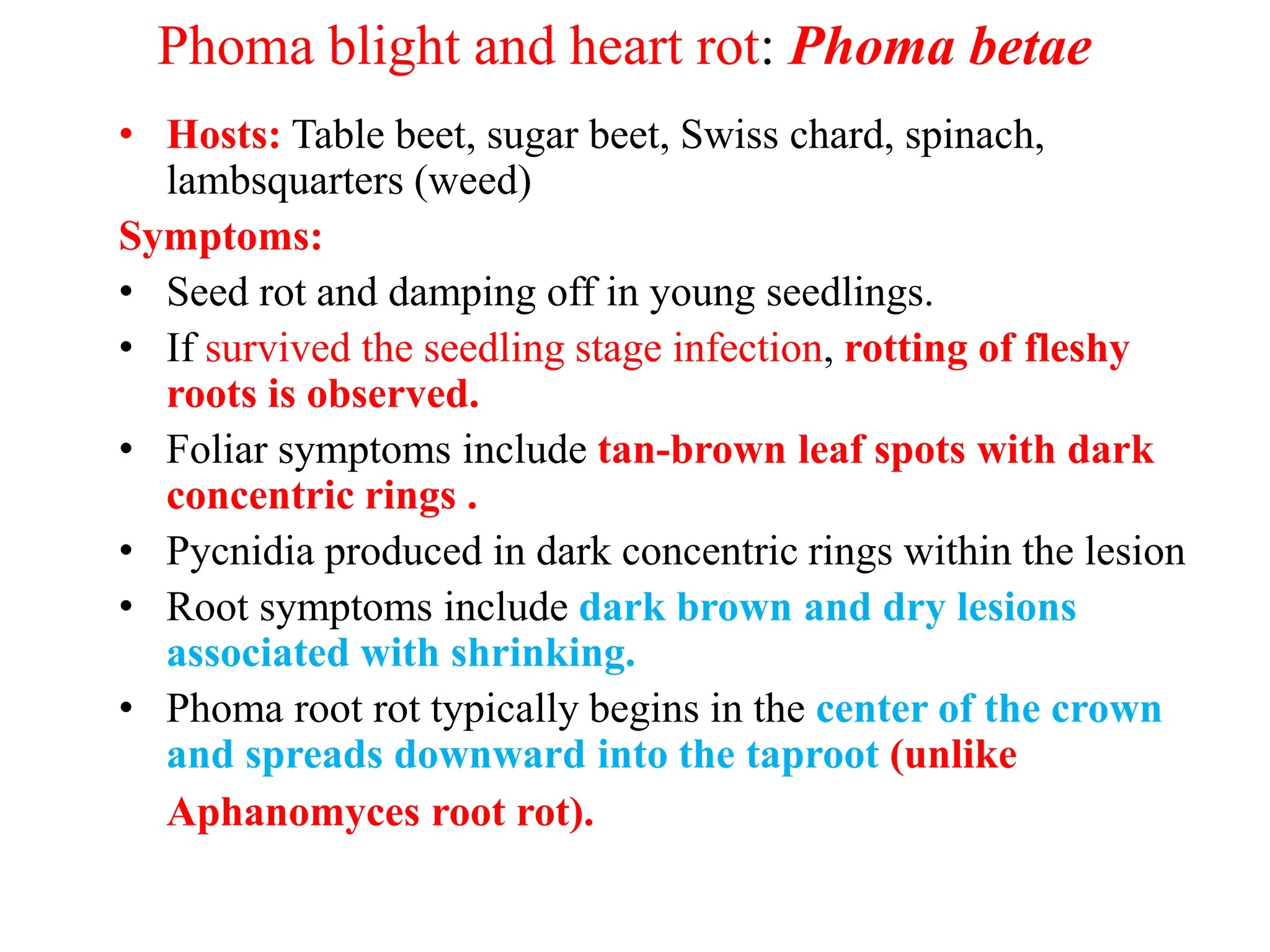 Beet root. Diseases management ,production pdf. | PPTX
