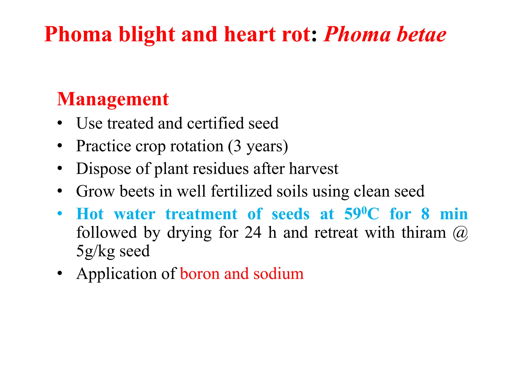 Beet root. Diseases management ,production pdf. | PPTX