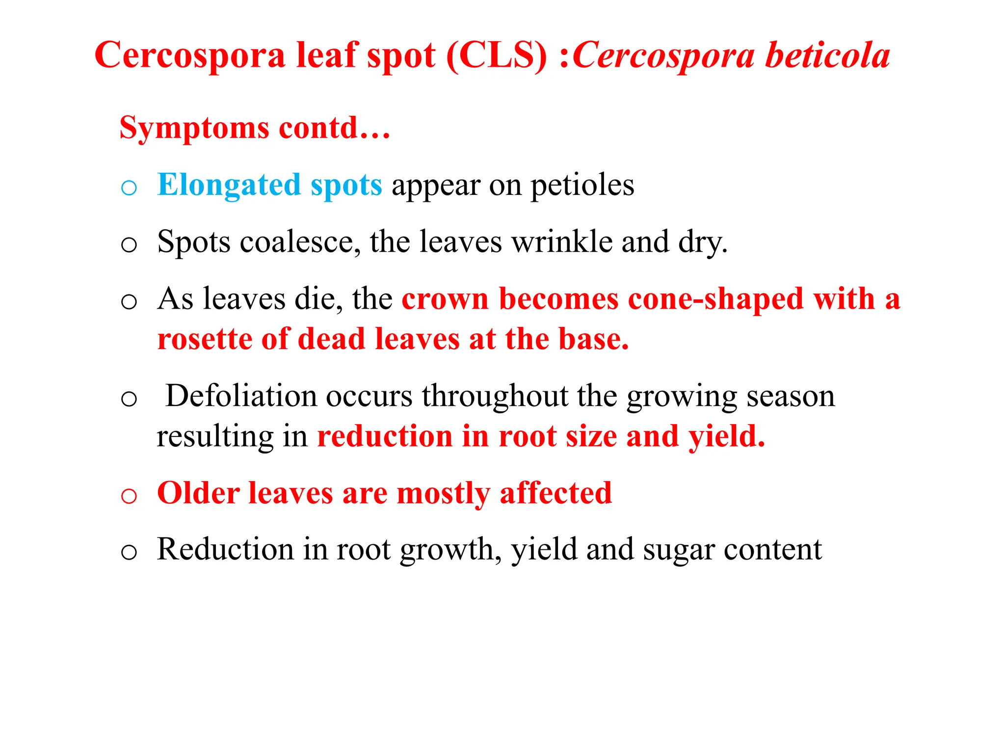 Beet root. Diseases management ,production pdf. | PPTX