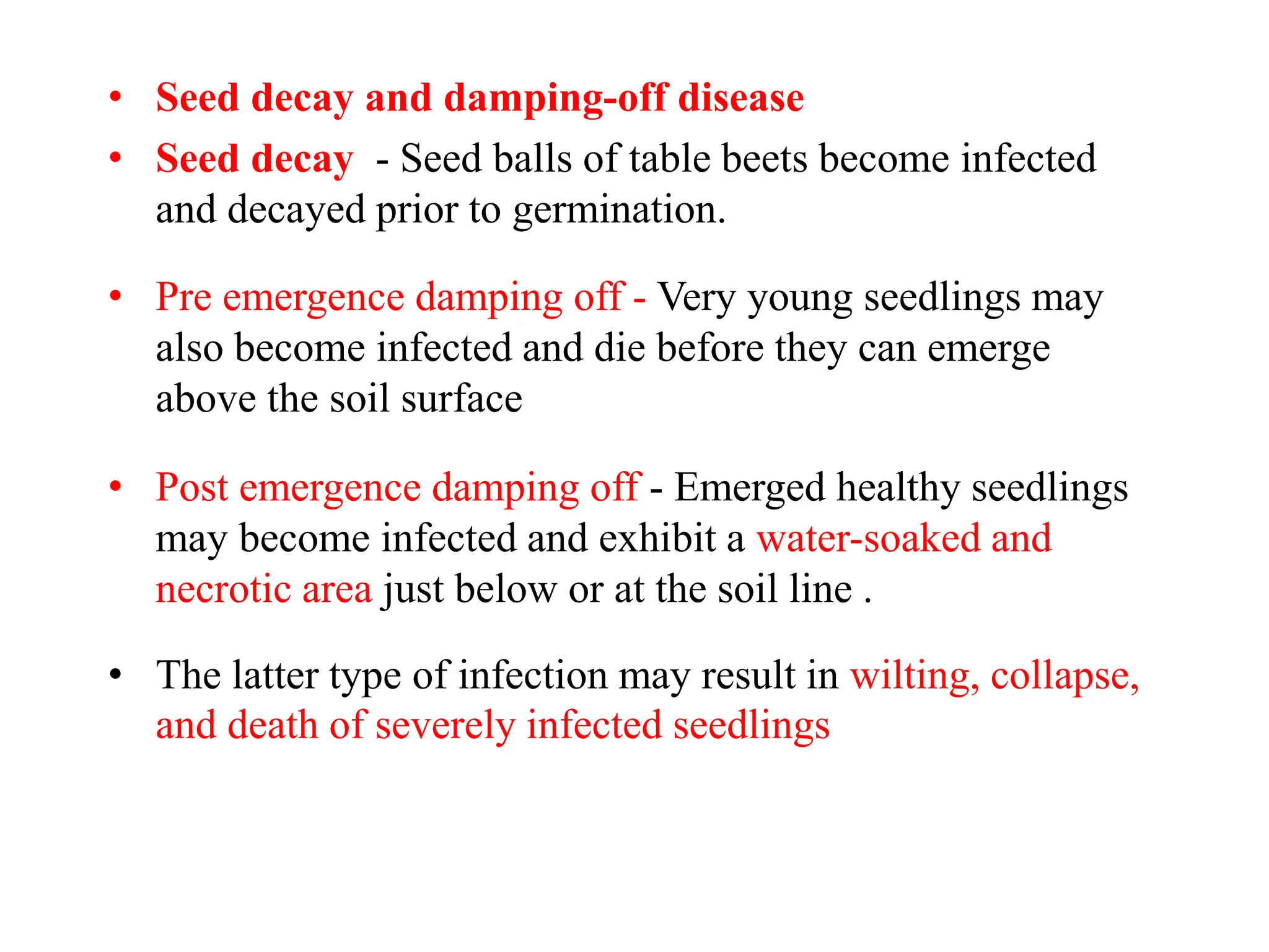 Beet root. Diseases management ,production pdf. | PPTX