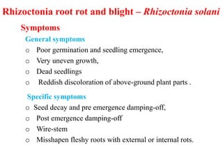 Beet root. Diseases management ,production pdf. | PPTX
