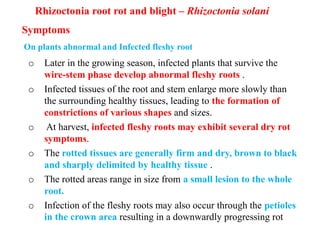 Beet root. Diseases management ,production pdf. | PPTX