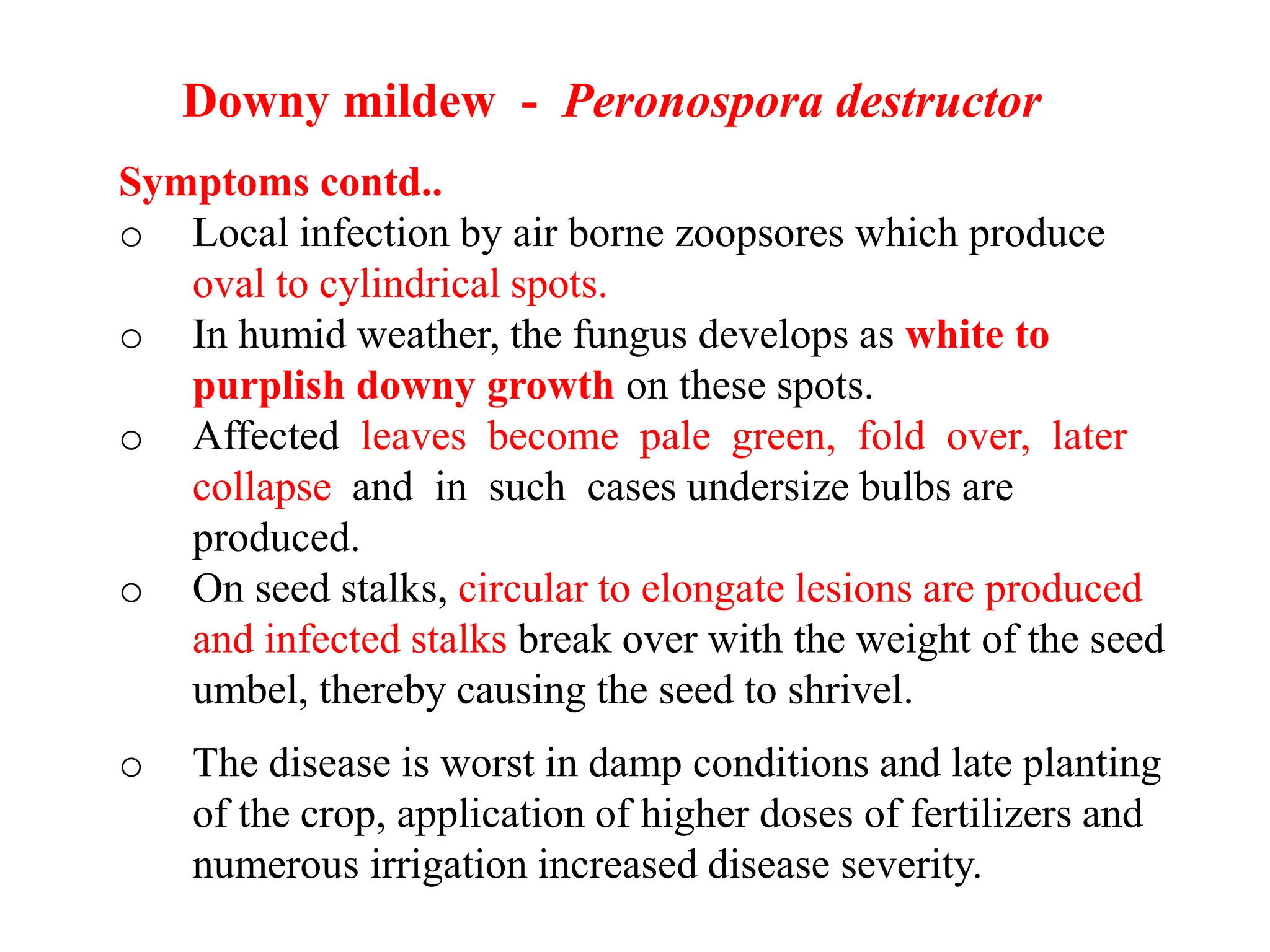Onion, garlic diseases and their aspects. | PPTX
