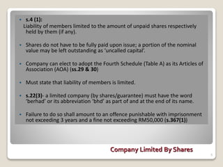 3. Types of Companies & Promoters.ppt
