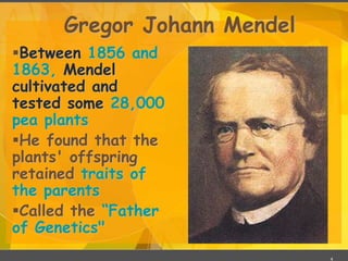 3.1 - Fundamentals of Genetics.ppt
