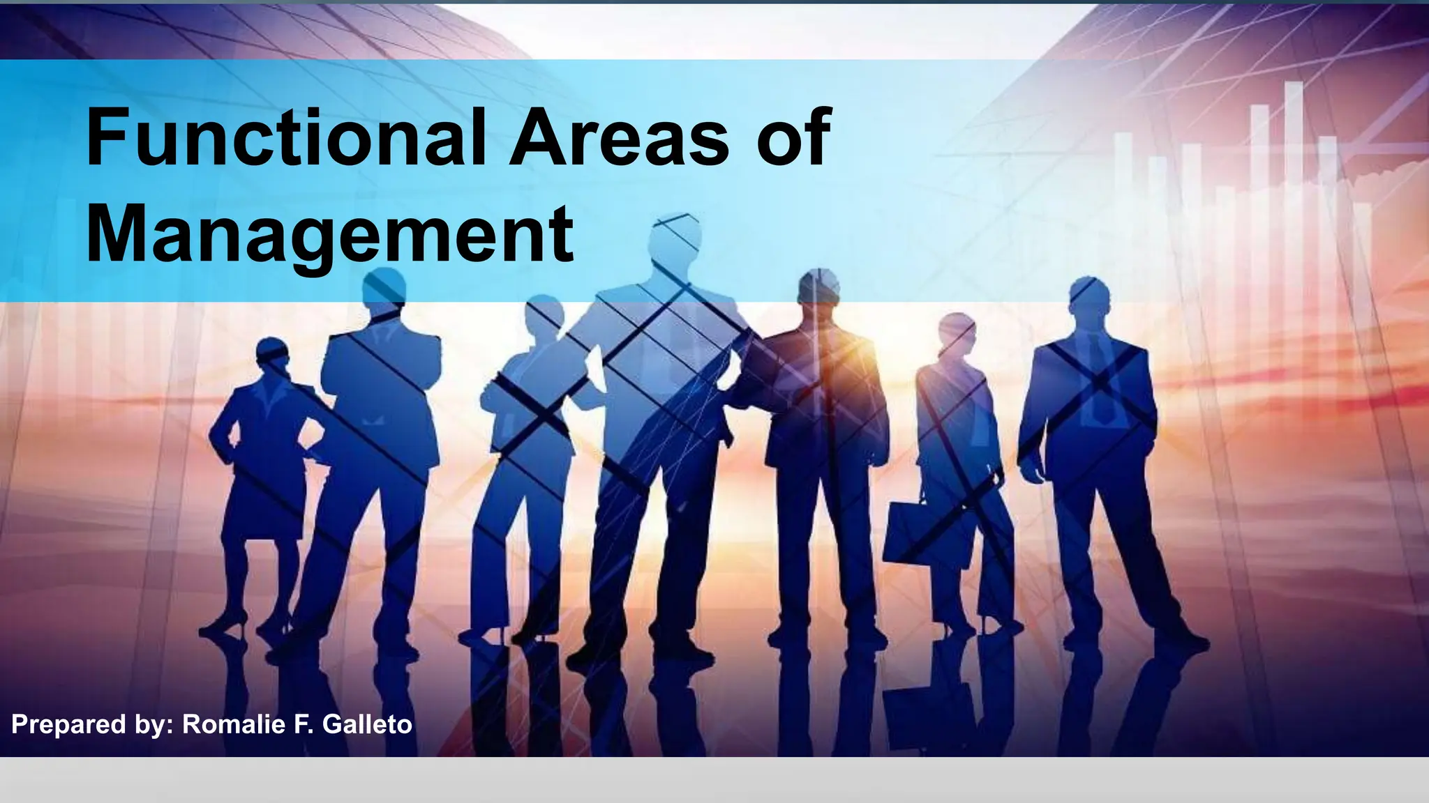 Functional Areas of Management in an Organization | PPTX