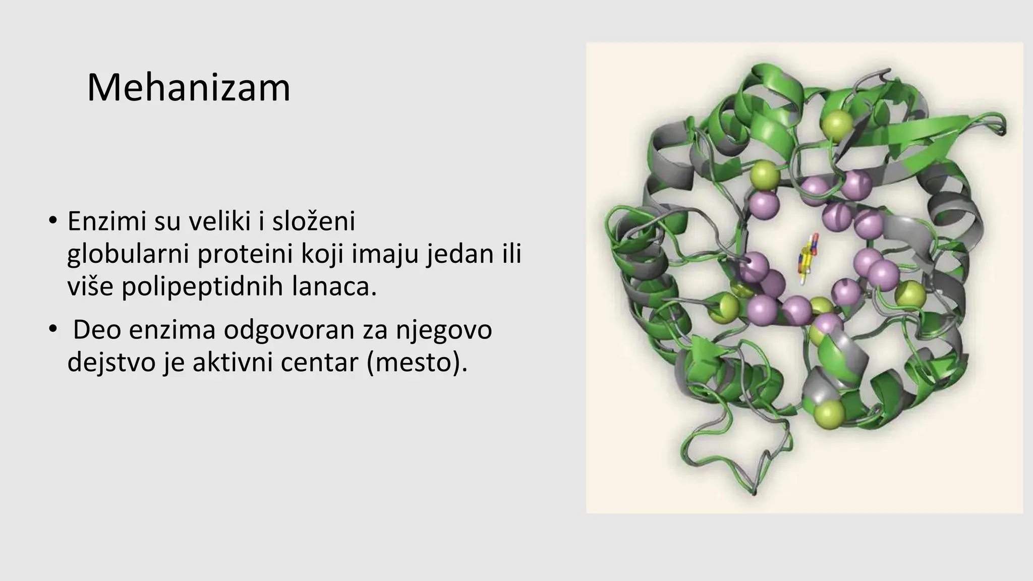 3. Enzimi prezentacija za cas informatike | PPTX