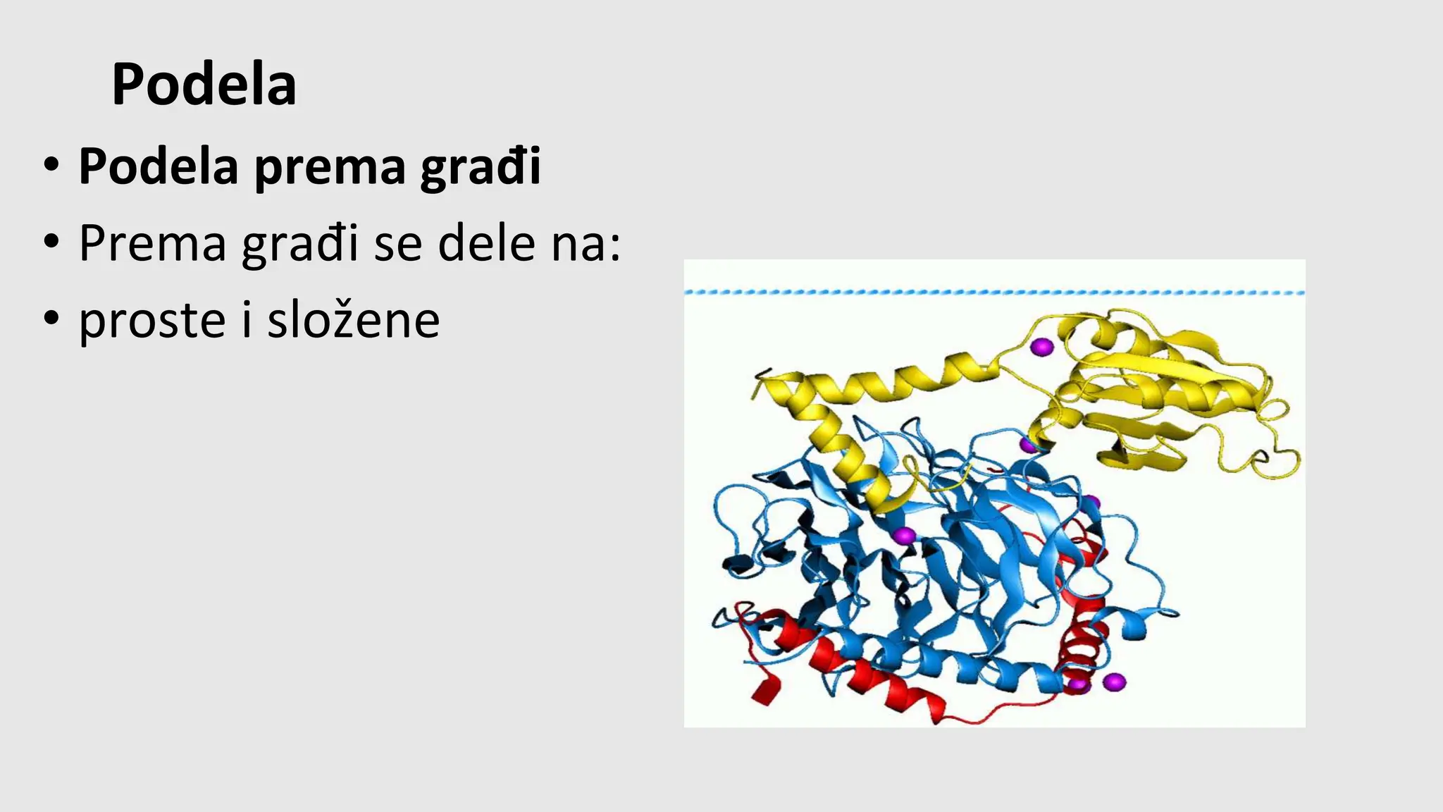 3. Enzimi prezentacija za cas informatike | PPTX
