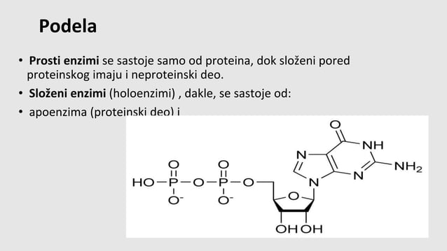 3. Enzimi prezentacija za cas informatike | PPTX