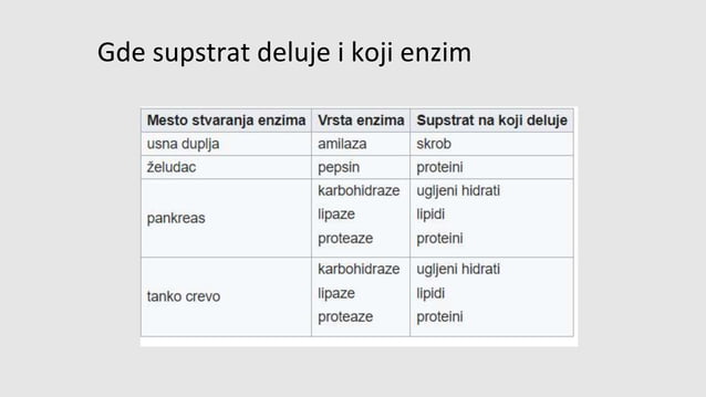 3. Enzimi prezentacija za cas informatike | PPTX