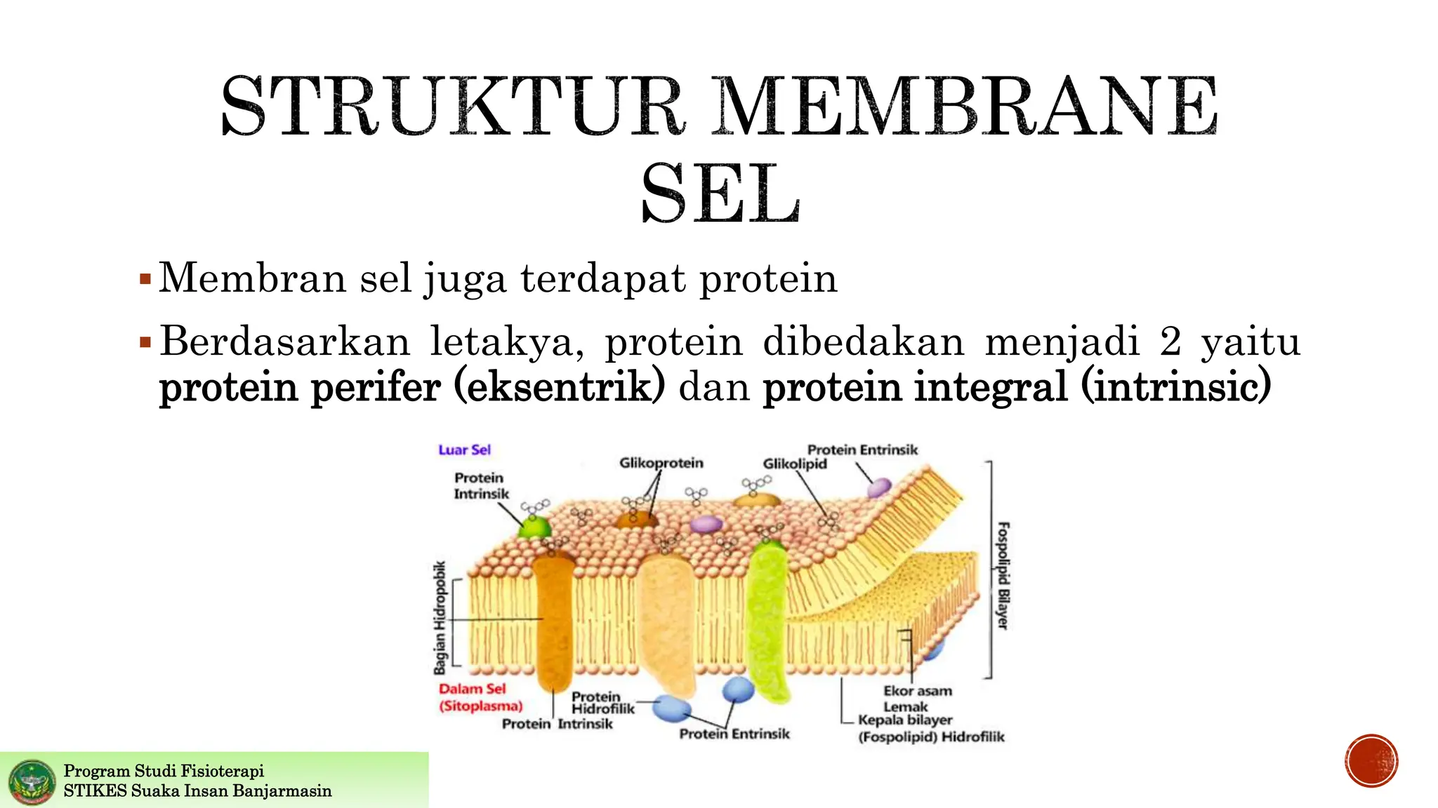 MATERI MEMBRAN SEL DAN SISTEM MEMBRAN SEL.pptx