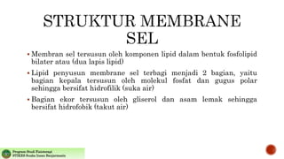 MATERI MEMBRAN SEL DAN SISTEM MEMBRAN SEL.pptx