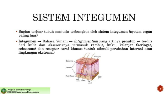 MATERI ANATOMI SISTEM INTEGUMEN SARJANA FISIOTERAPI.pptx