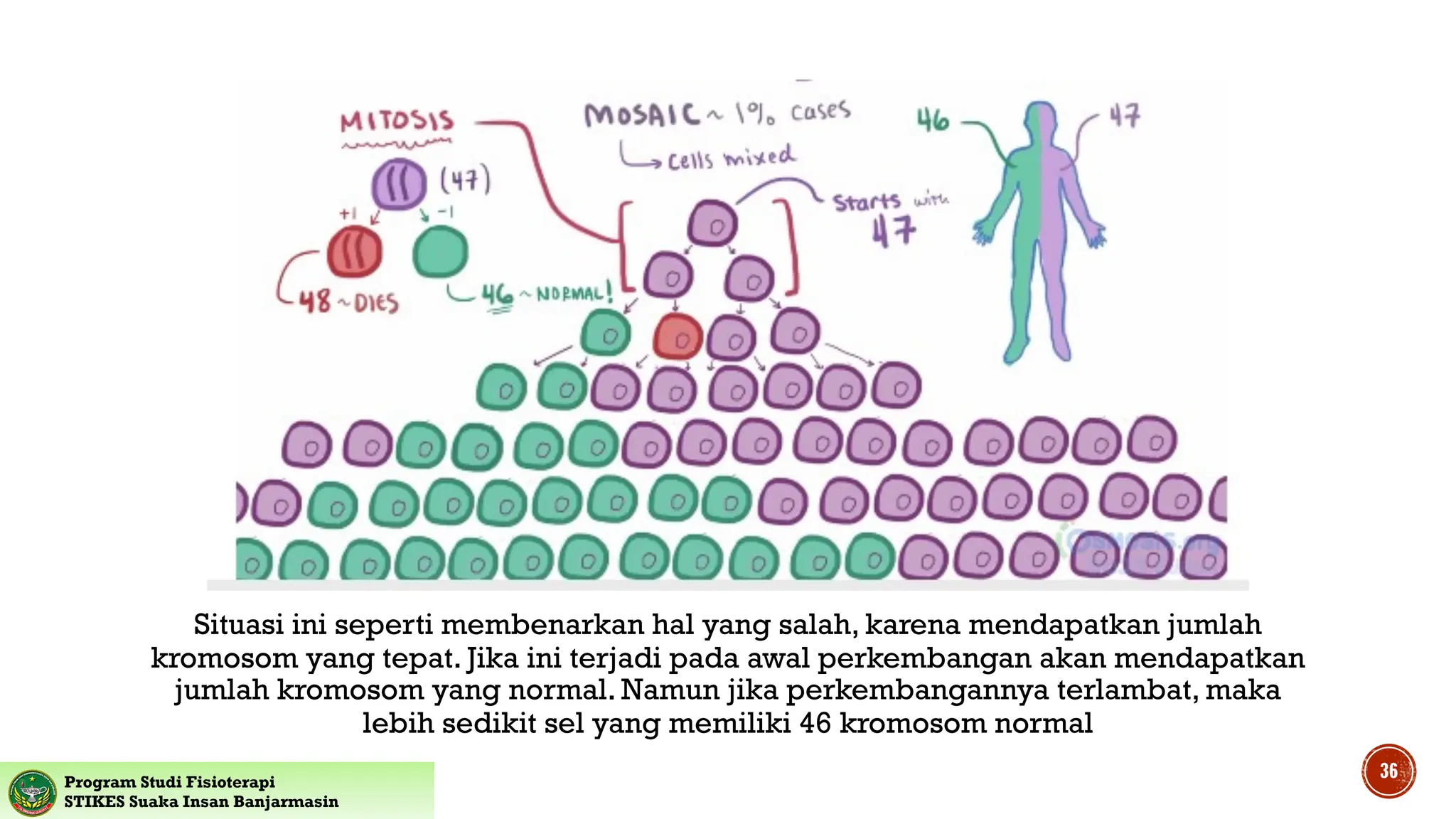 FISIOTERAPI PEDIATRI - DOWN SYNDROME.pdf