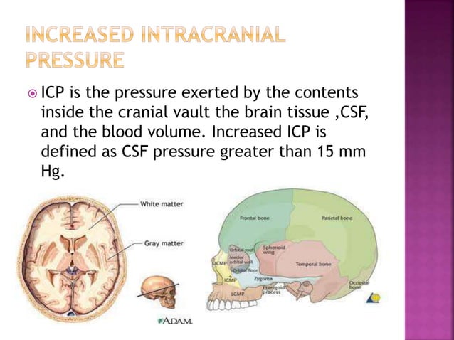 intracranial pressure nursing care process | PPT