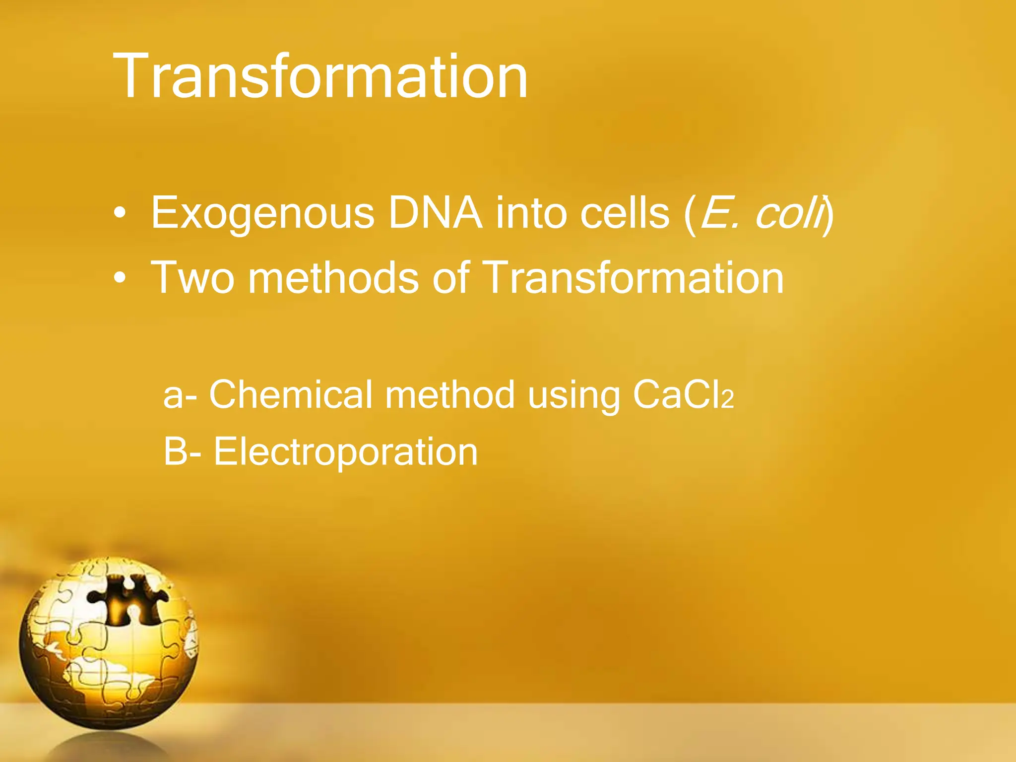 3 . Molecular Cloning and screening strategies by using E.coli as Host.pptx