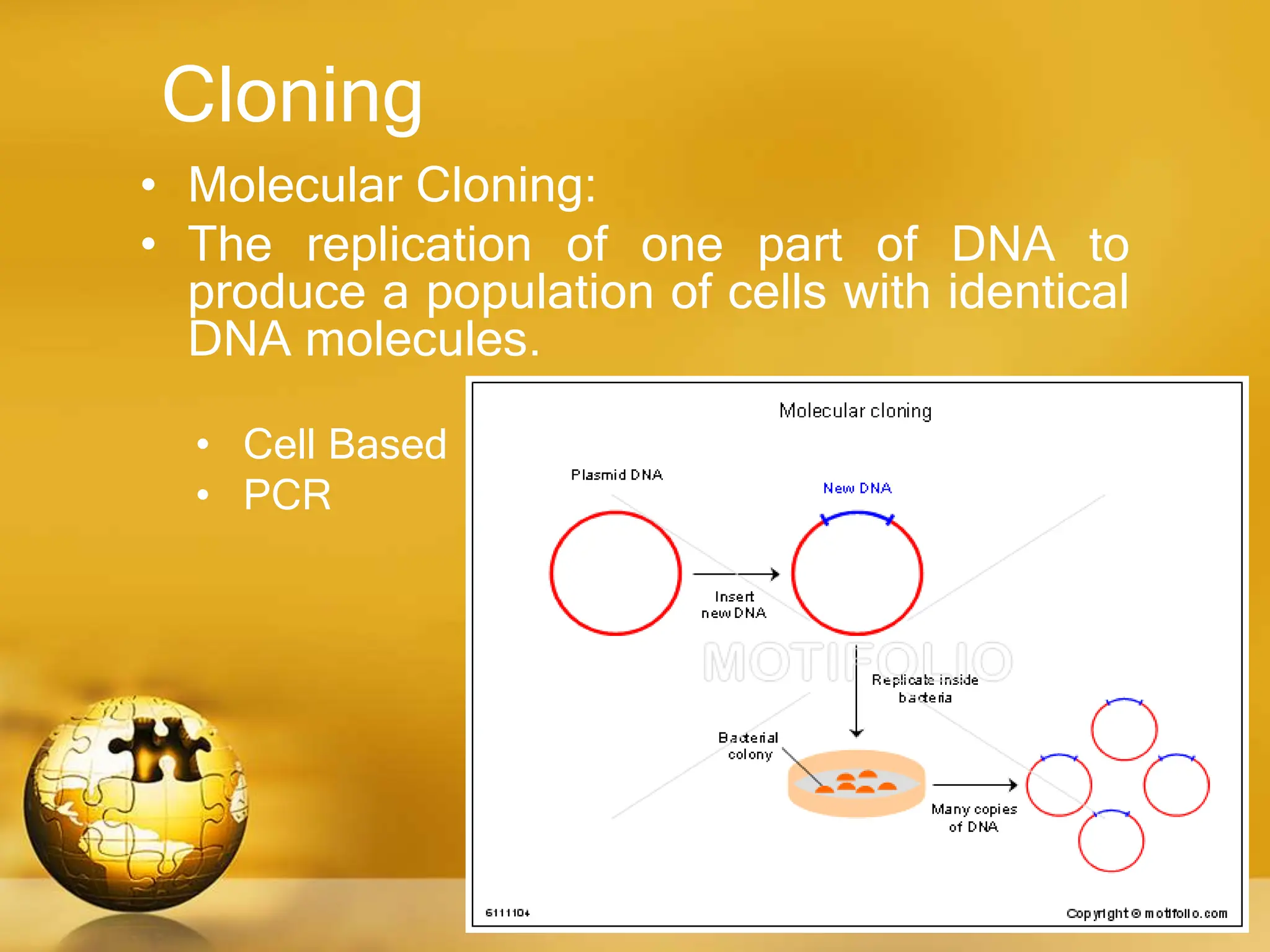 3 . Molecular Cloning and screening strategies by using E.coli as Host.pptx