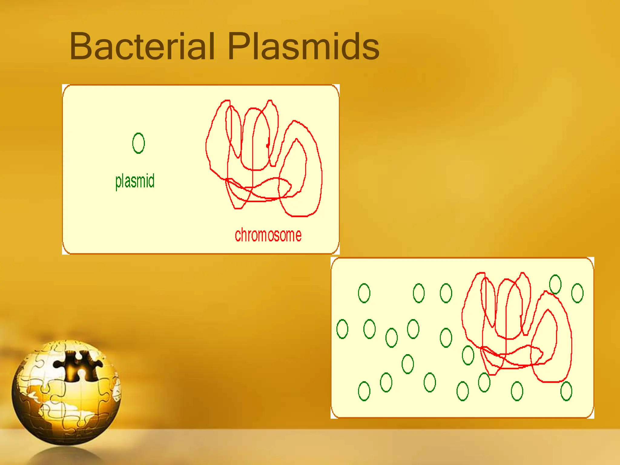 3 . Molecular Cloning and screening strategies by using E.coli as Host.pptx