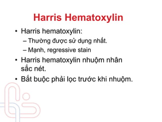 Phương pháp nhuộm Hematoxylin và Eosin giải phẫu bệnh | PDF