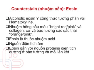 Phương pháp nhuộm Hematoxylin và Eosin giải phẫu bệnh | PDF