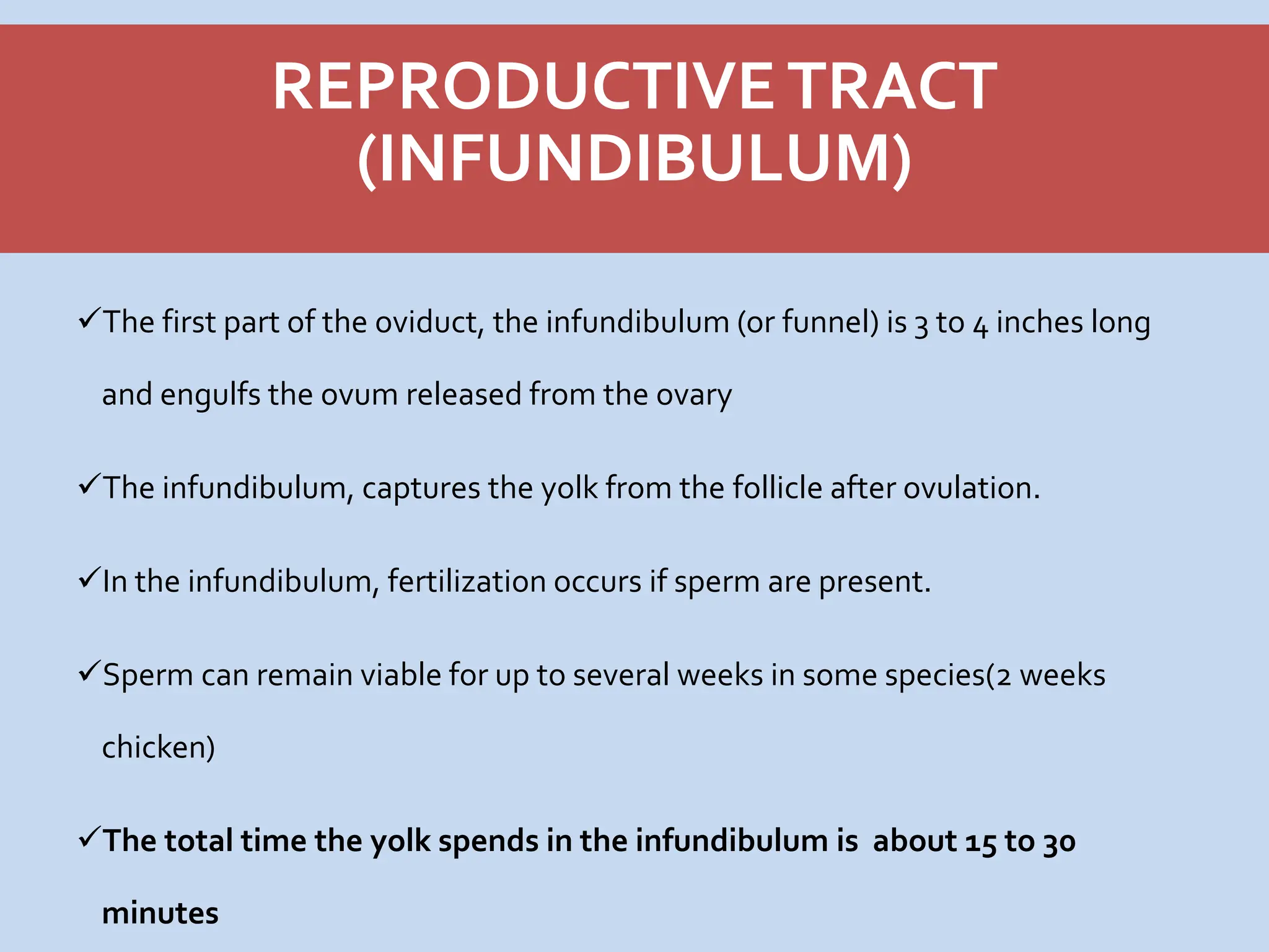 3.1 Poultry Production in Agriculture.ppt