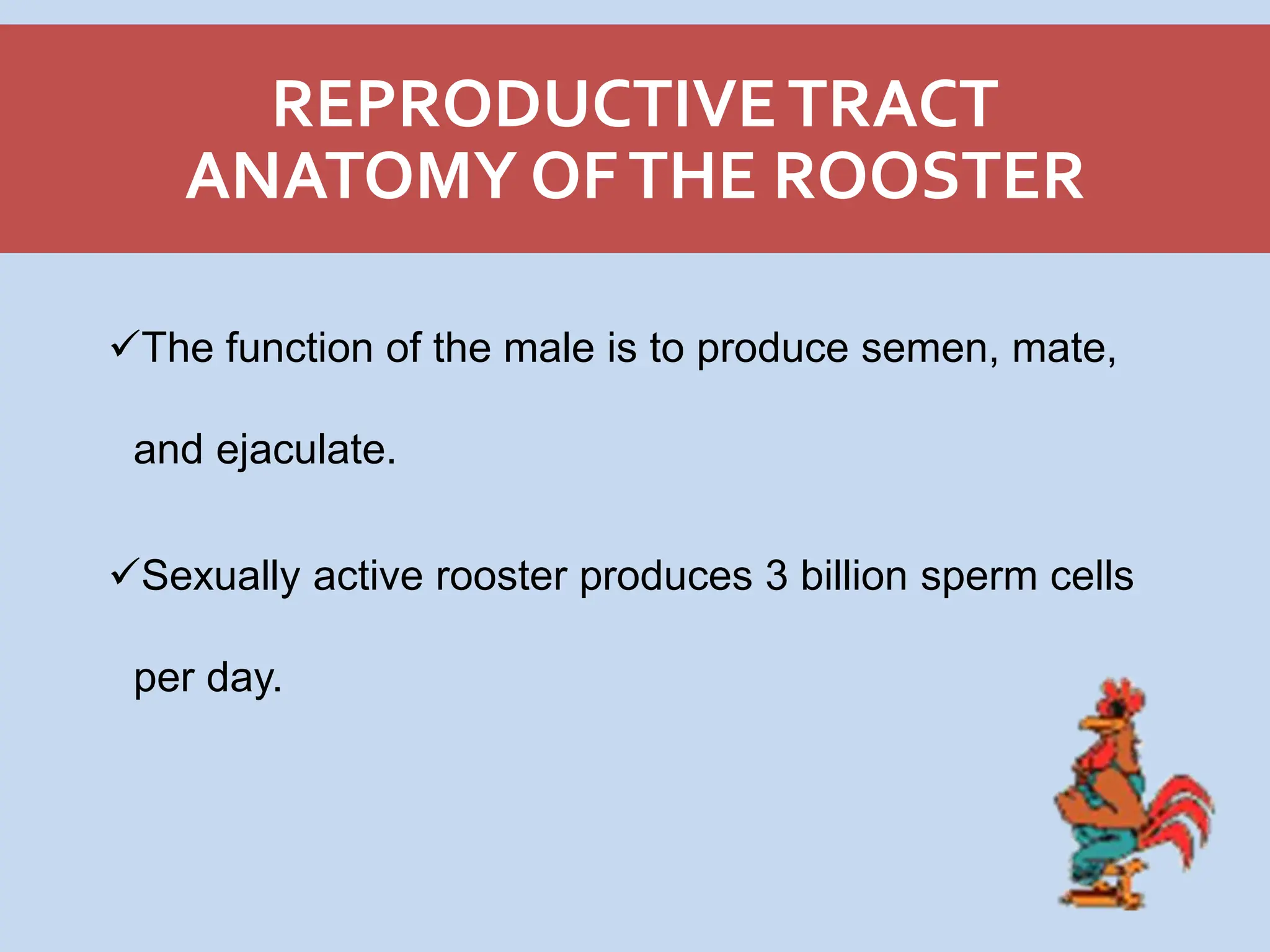 3.1 Poultry Production in Agriculture.ppt